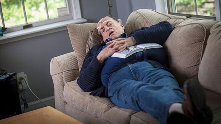 Science confirms it—a 30-minute nap is the key to improving memory and mood